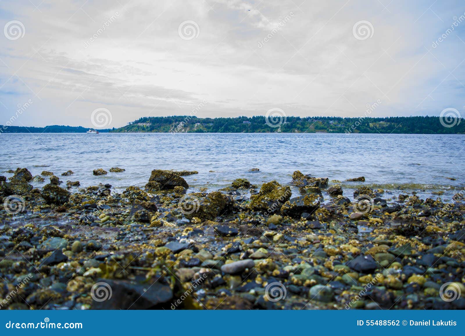 Titlow Park Beach (Colorful) Stock Photo - Image of rocks, beach: 55488562