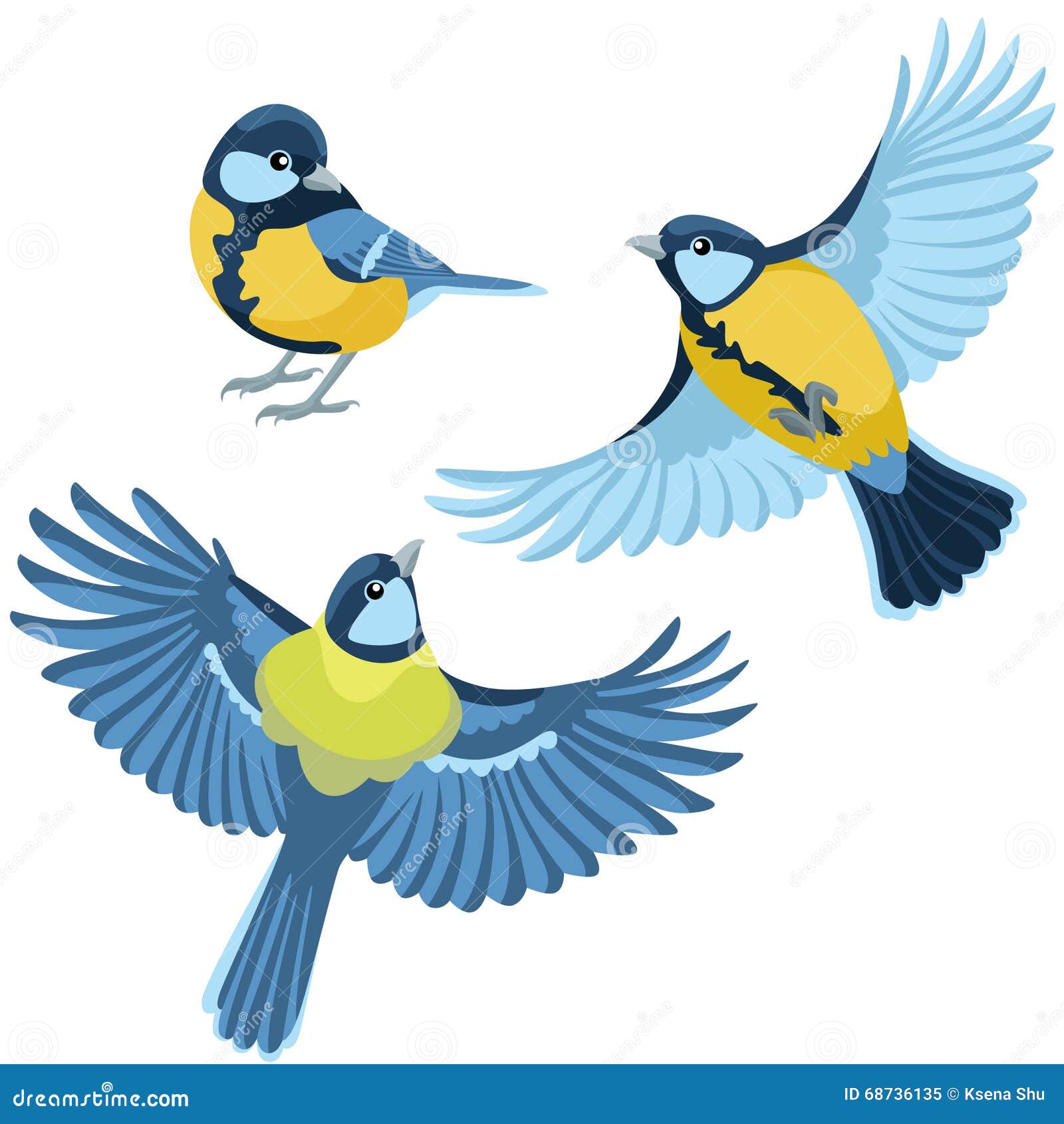 Titmouse on White Background Stock Vector - Illustration of flying ...