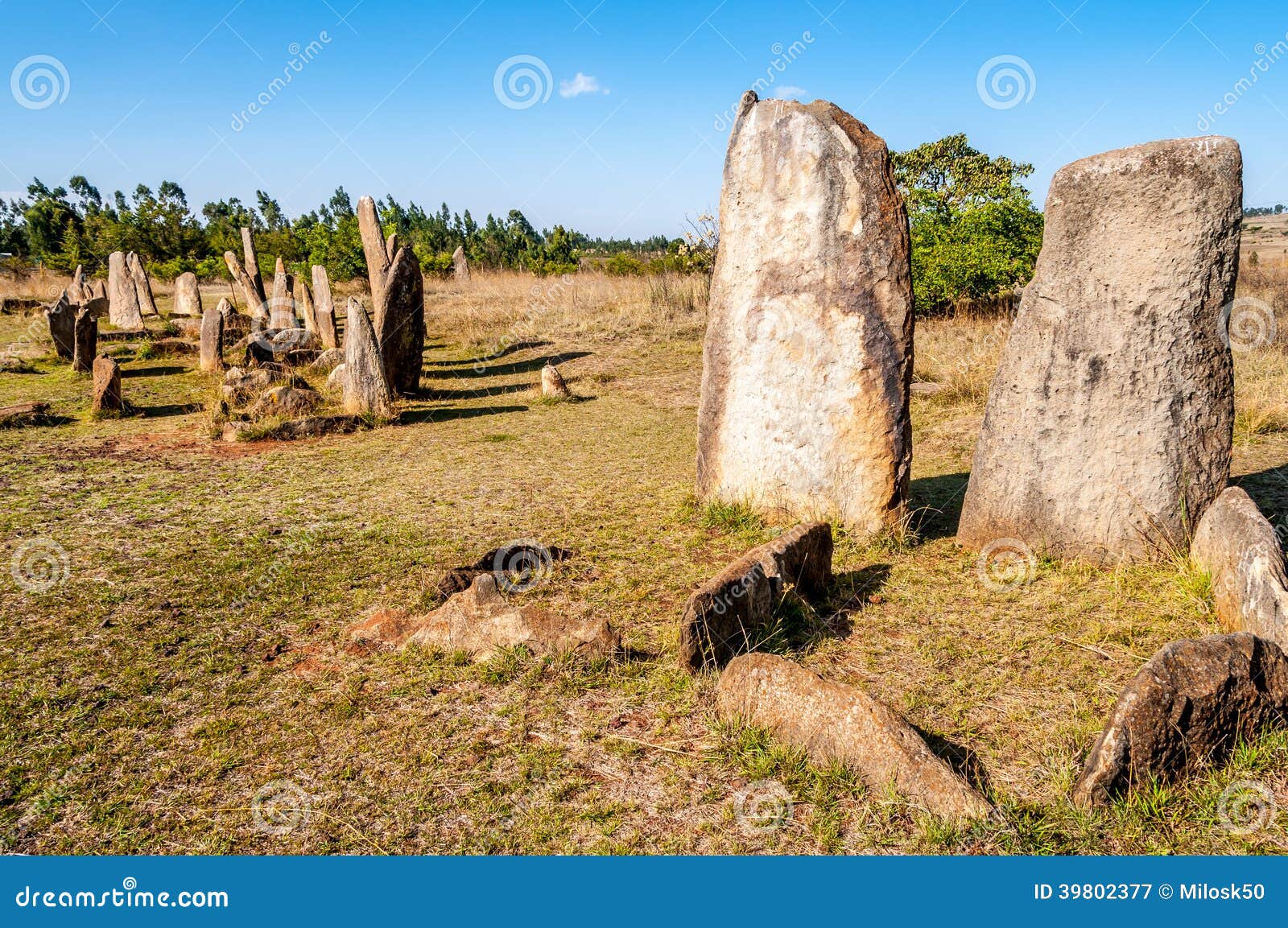 Tiya stock image. Image of stela, africa, monument, history - 39802377