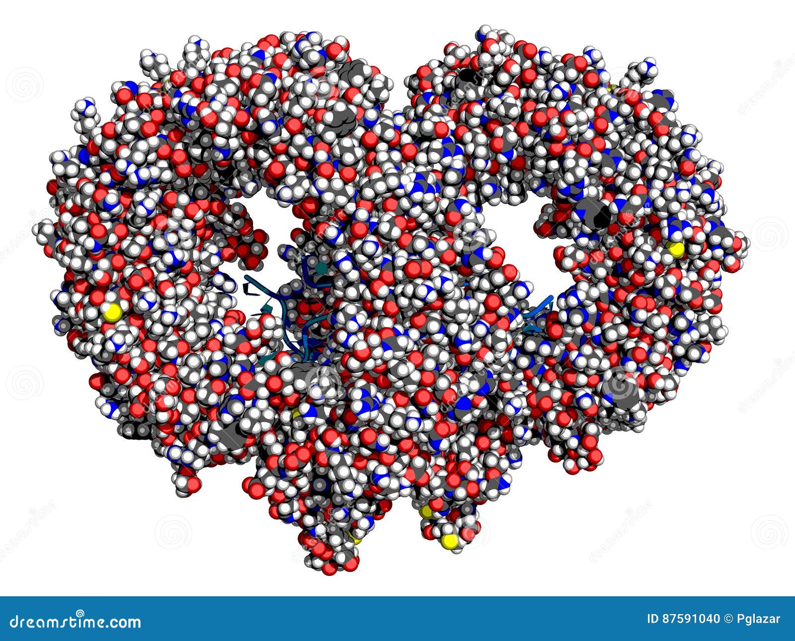 TLR13 Toll-like Receptor Bound To RNA, Space-filling Model Stock ... TLR13 Toll-like Receptor Bound To RNA, Space-filling Model Stock ...