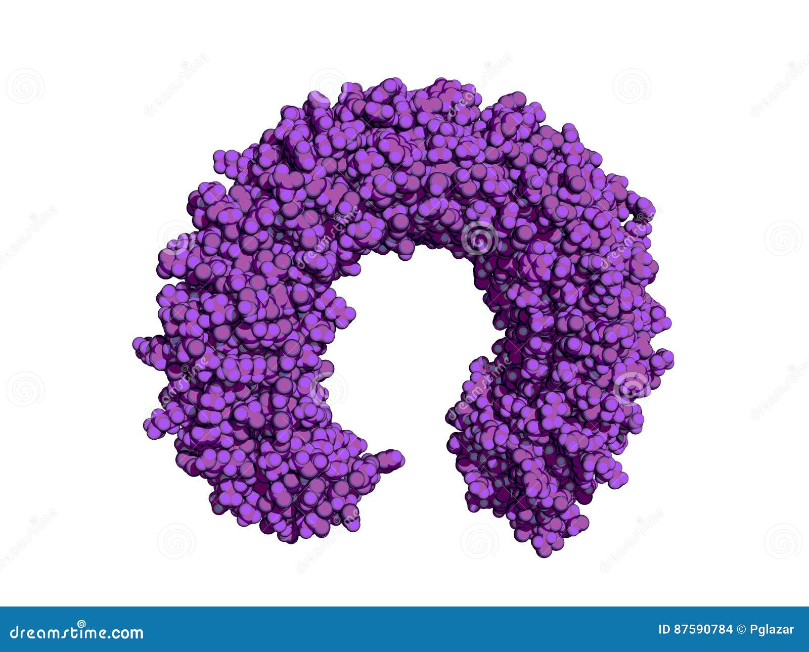 TLR3 Toll-like Receptor, Space-filling Model Stock Illustration ... TLR3 Toll-like Receptor, Space-filling Model Stock Illustration ...