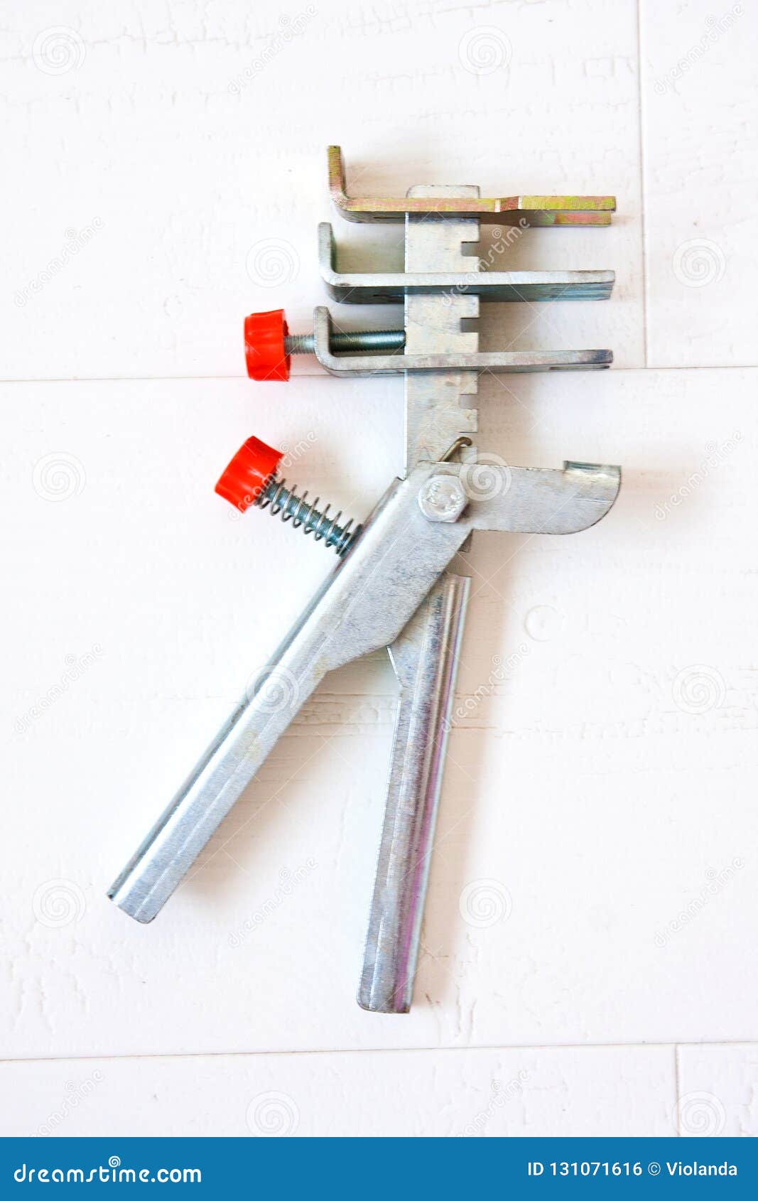 TLS. SVP .Tile Alignment System Stock Photo - Image of install ...