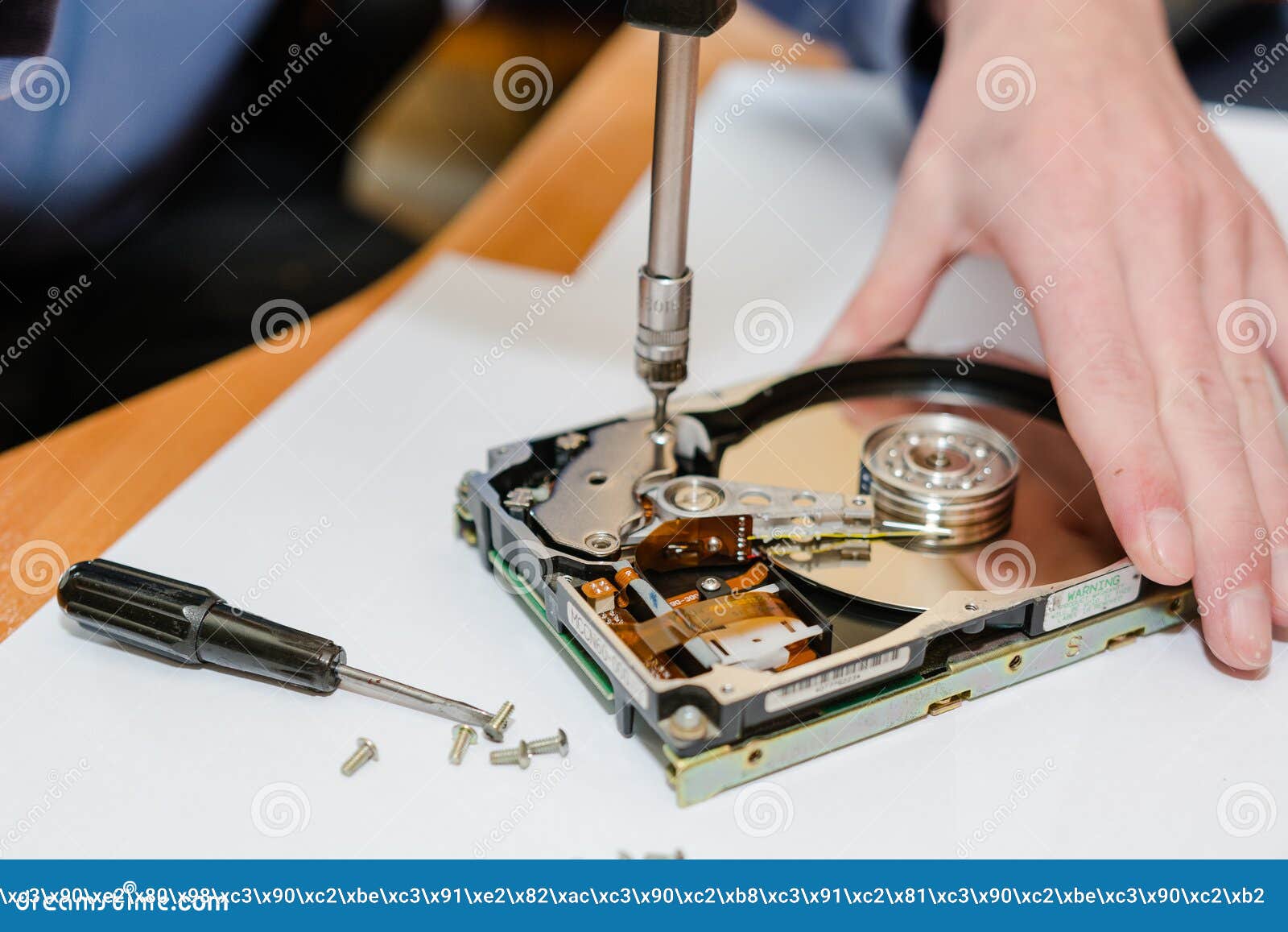 To Disassemble a Hard Drive. Stock Image - Image of data, isolated ...