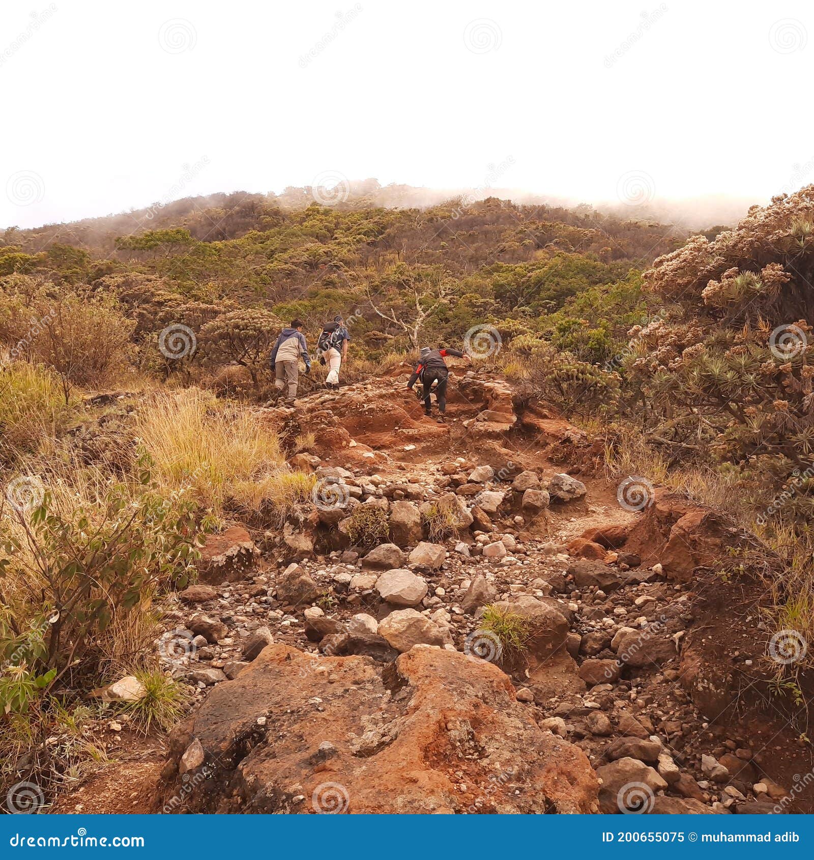 To hike stock image. Image of wadi, adventure, hike - 200655075 To hike stock image. Image of wadi, adventure, hike - 200655075