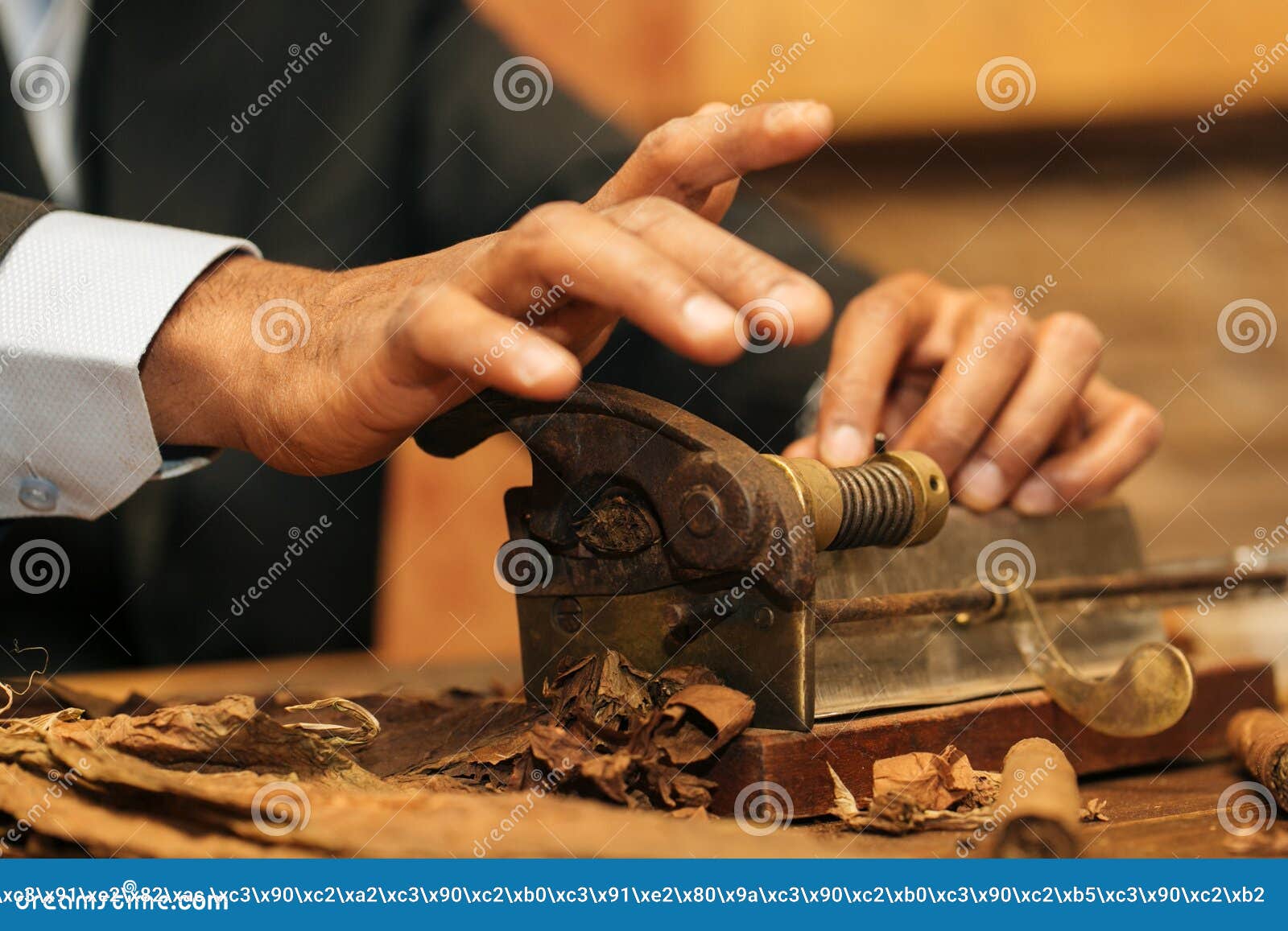 To Make a Cigar with His Hands, Sheets for a Cigar, Handwork Stock ...