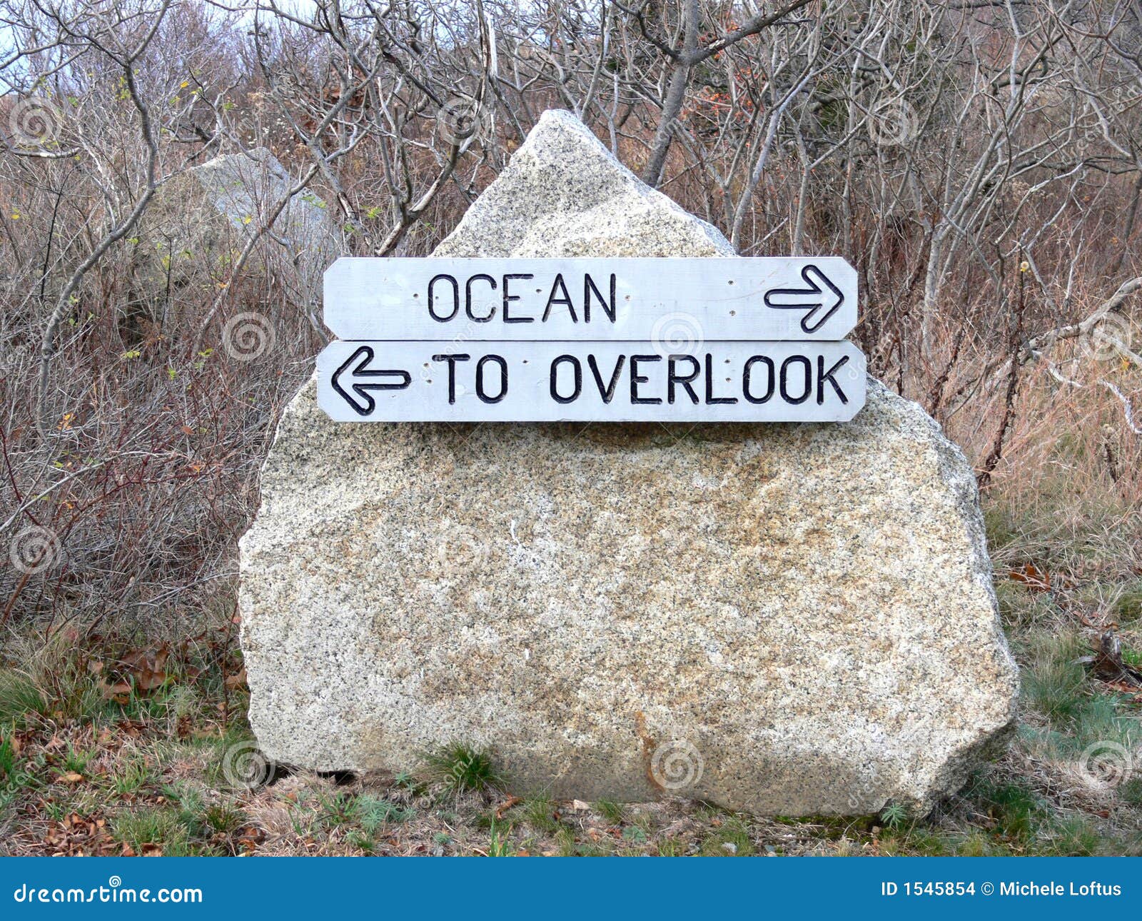 To the Ocean Sign stock photo. Image of overlook, boards - 1545854