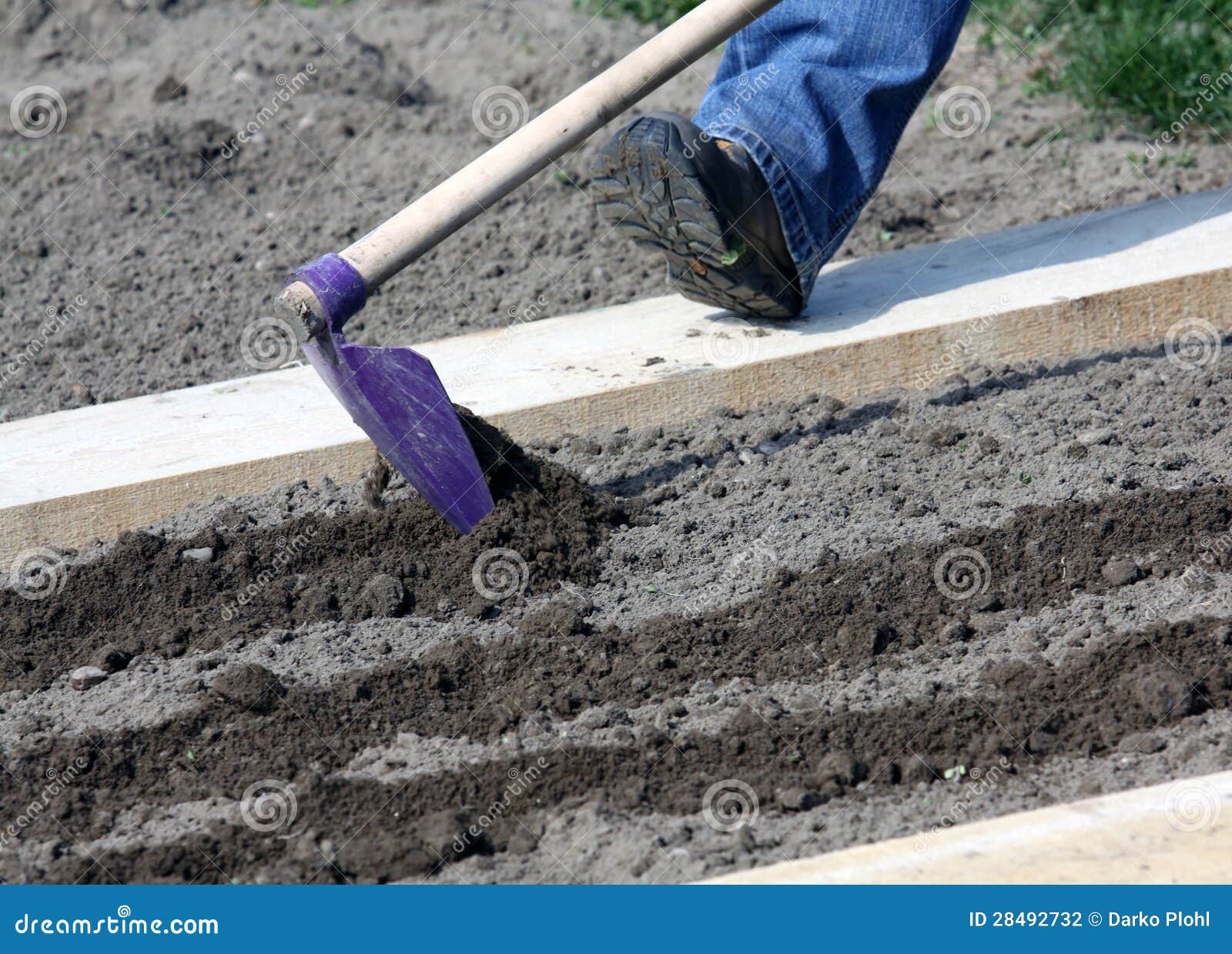 To prepare garden bed stock photo. Image of vegetable - 28492732