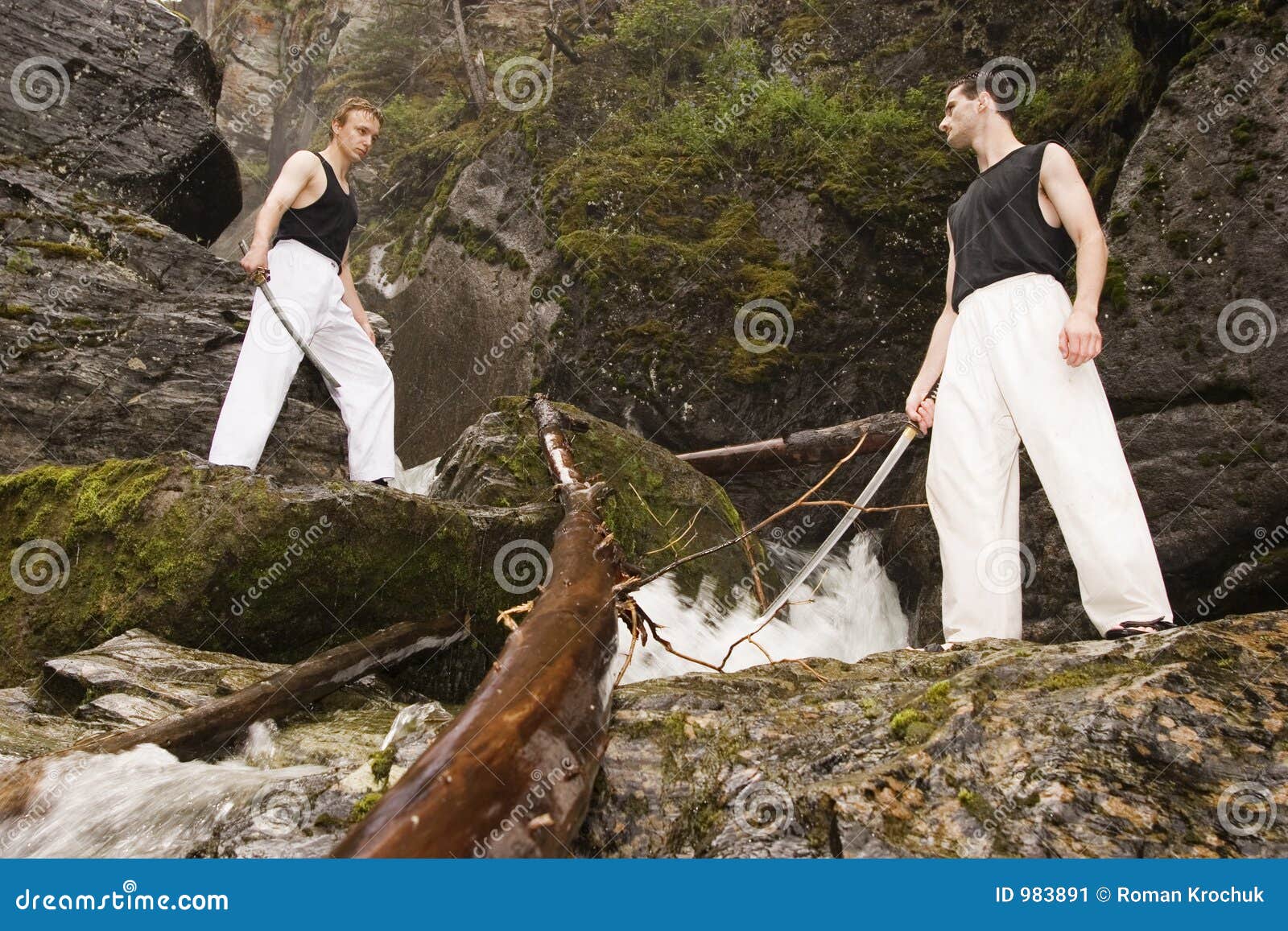 About to strike stock image. Image of attack, defence, cold - 983891