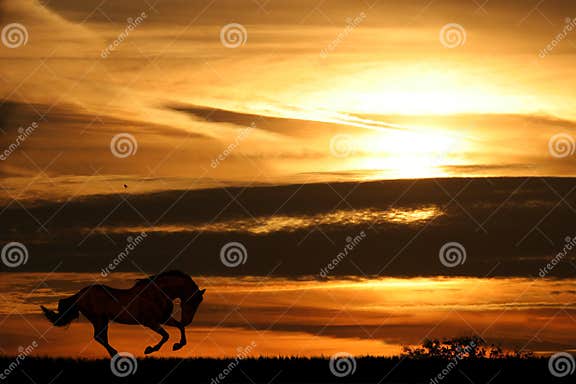 To the sundown stock photo. Image of dark, elbowroom, sunset - 2542932