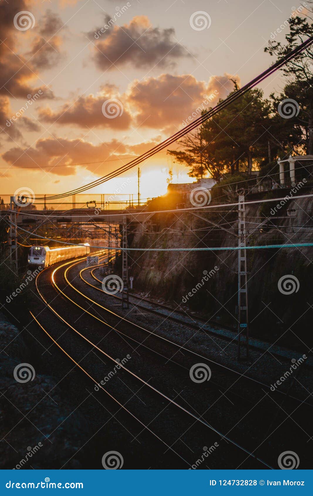 To the sunset by train stock photo. Image of landscape - 124732828