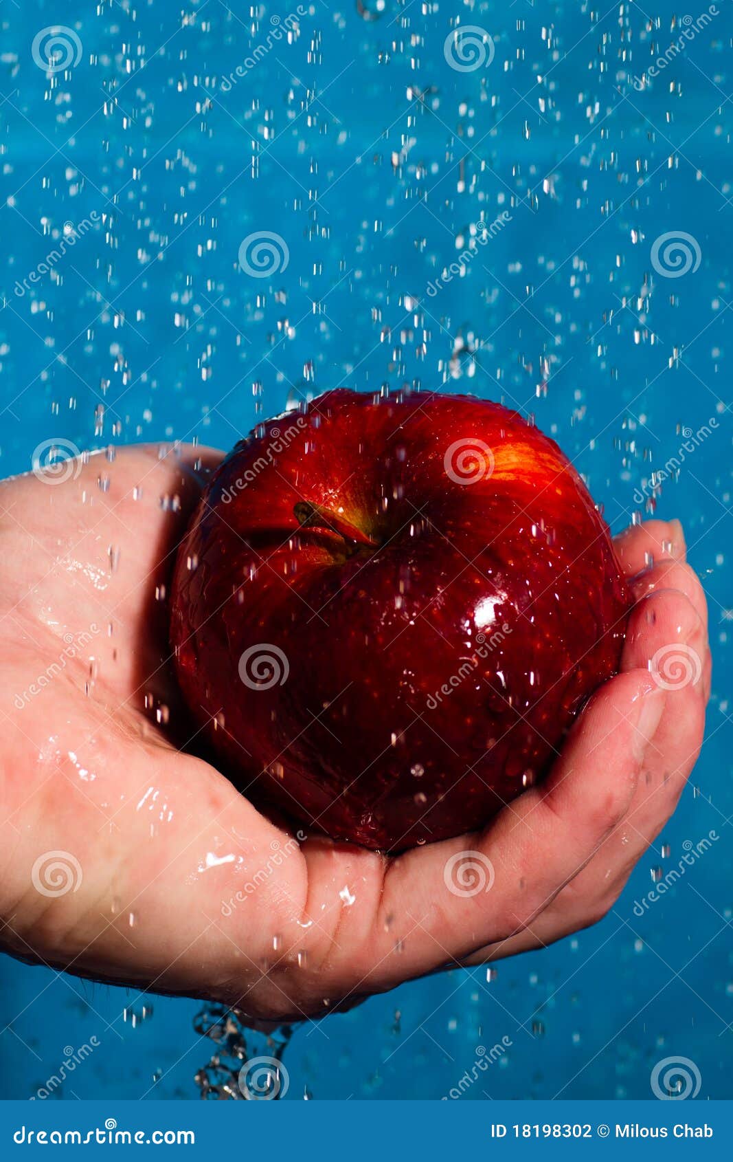 To wash an apple stock photo. Image of health, delicious - 18198302