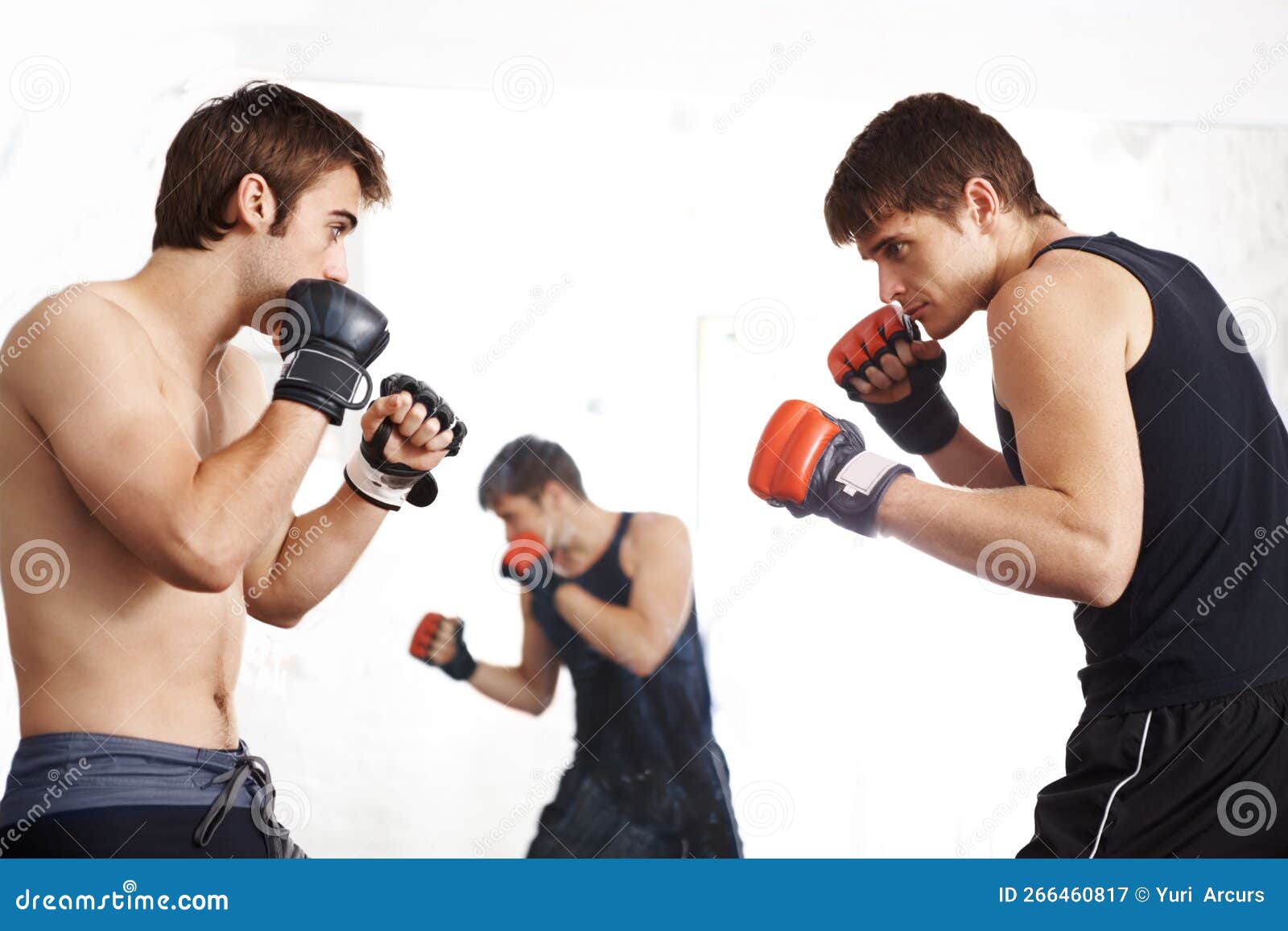 In it To Win it. Two Martial Artists Sparring in the Ring. Stock Image ...