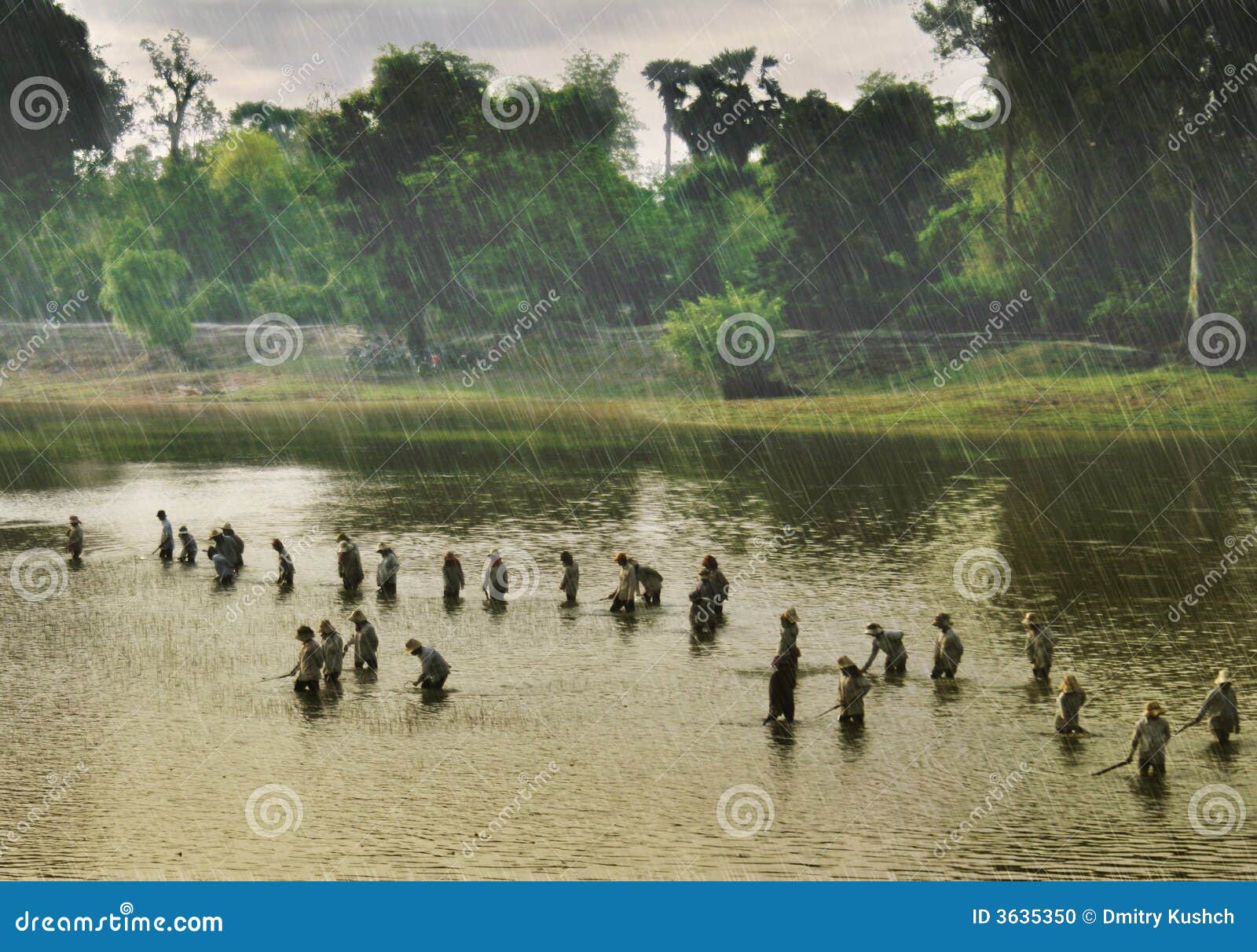 To work during a rain-2 stock photo. Image of tree, lake - 3635350