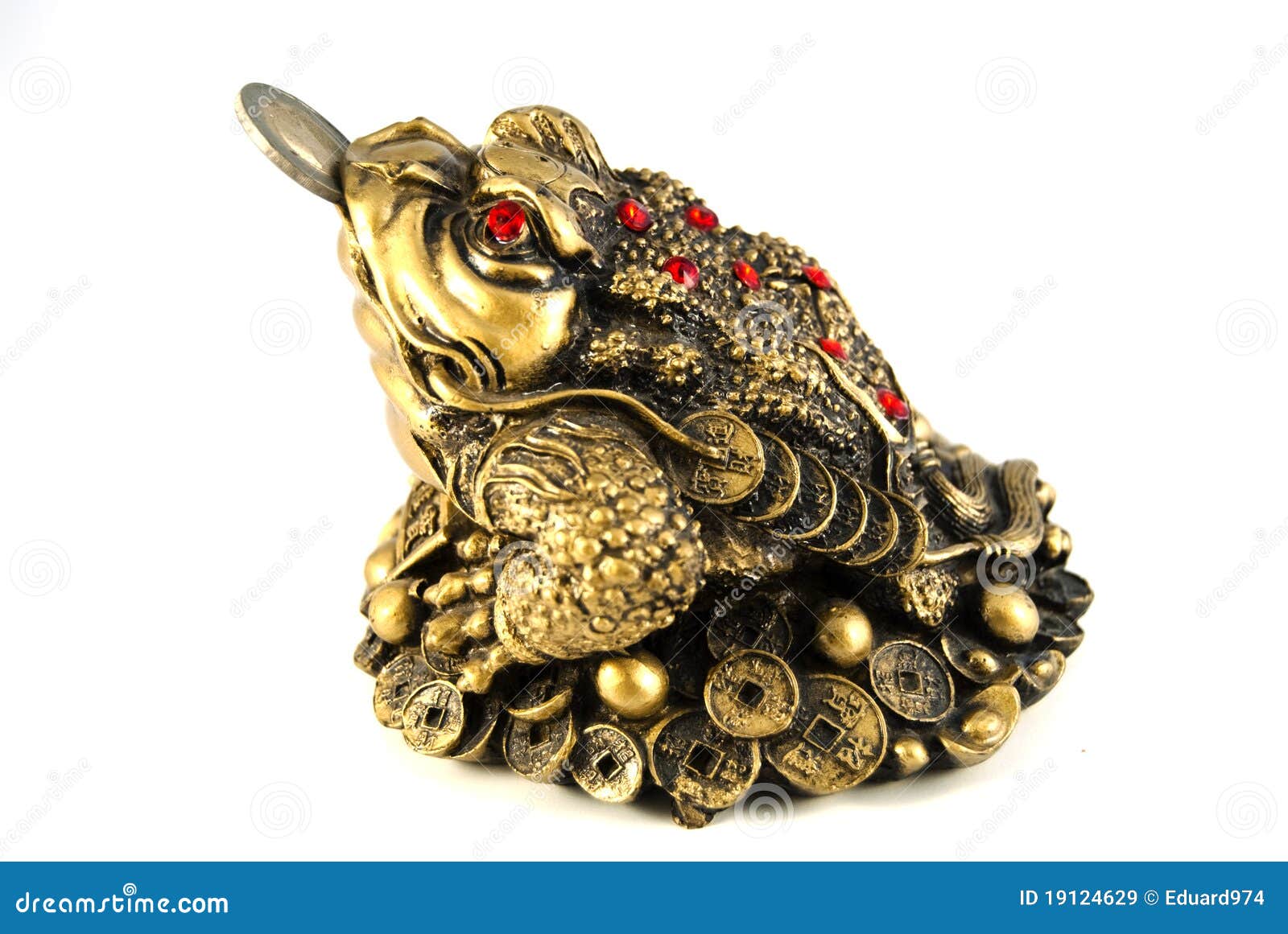 Toad with a coin stock image. Image of wealth, toad, prosperity - 19124629