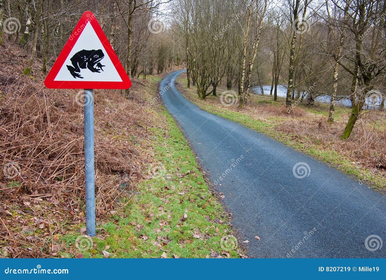 Toad Crossing road sign stock image. Image of wildlife - 8207219