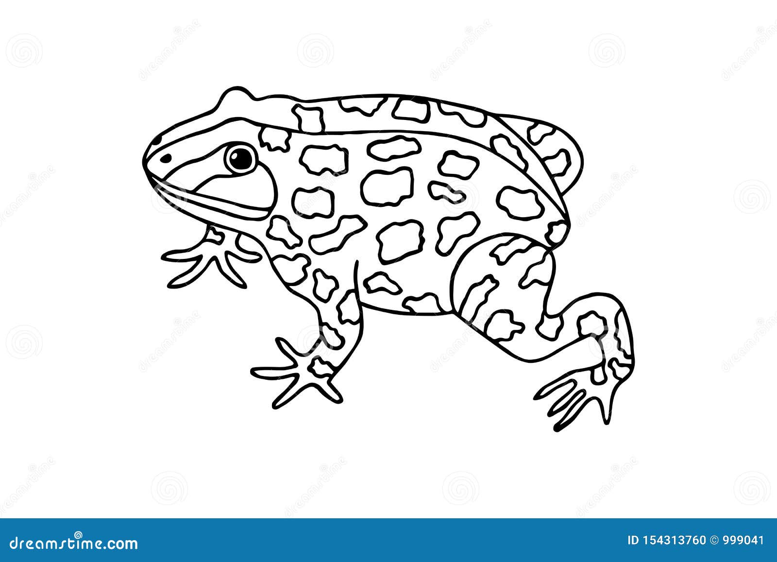 Toad Graphic Patterns Vector Illustration. Coloring Book Stock Vector ...