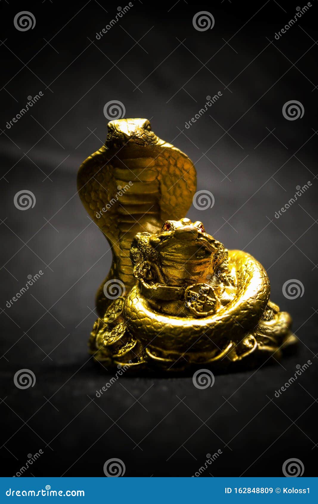 The Toad and the Snake. Figure Talisman, Helping in Wealth and Success ...