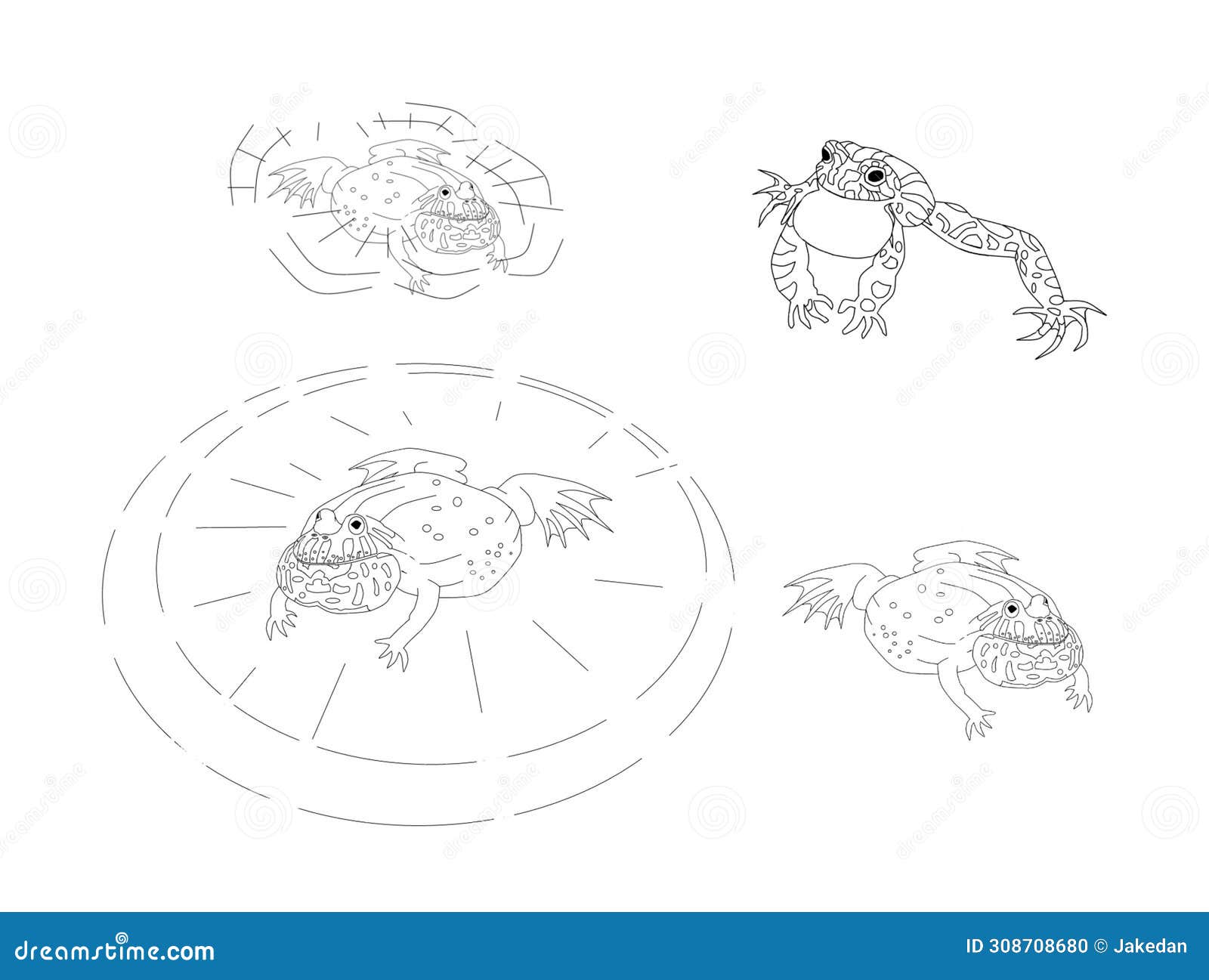 Toads, Colouring Book Page Uncolored Stock Illustration - Illustration ...