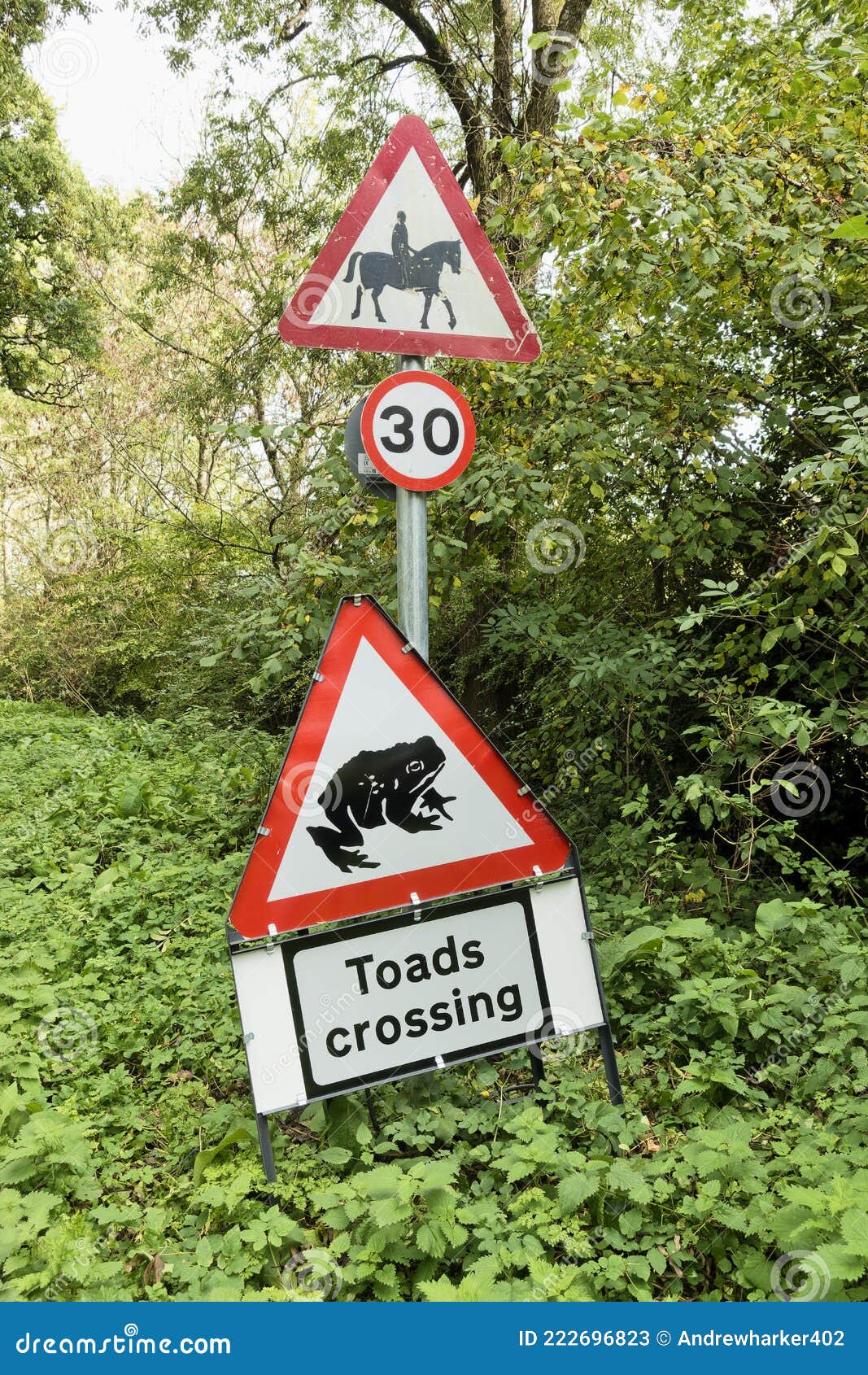 A Toads Crossing Sign in Smallbrook Road, Warminster, UK Editorial ...