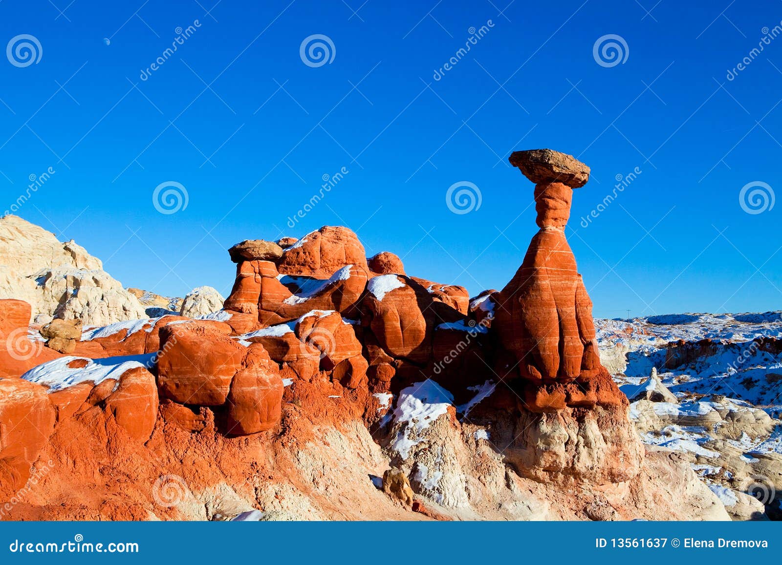 Toadstool stock image. Image of utah, toadstool, rock - 13561637
