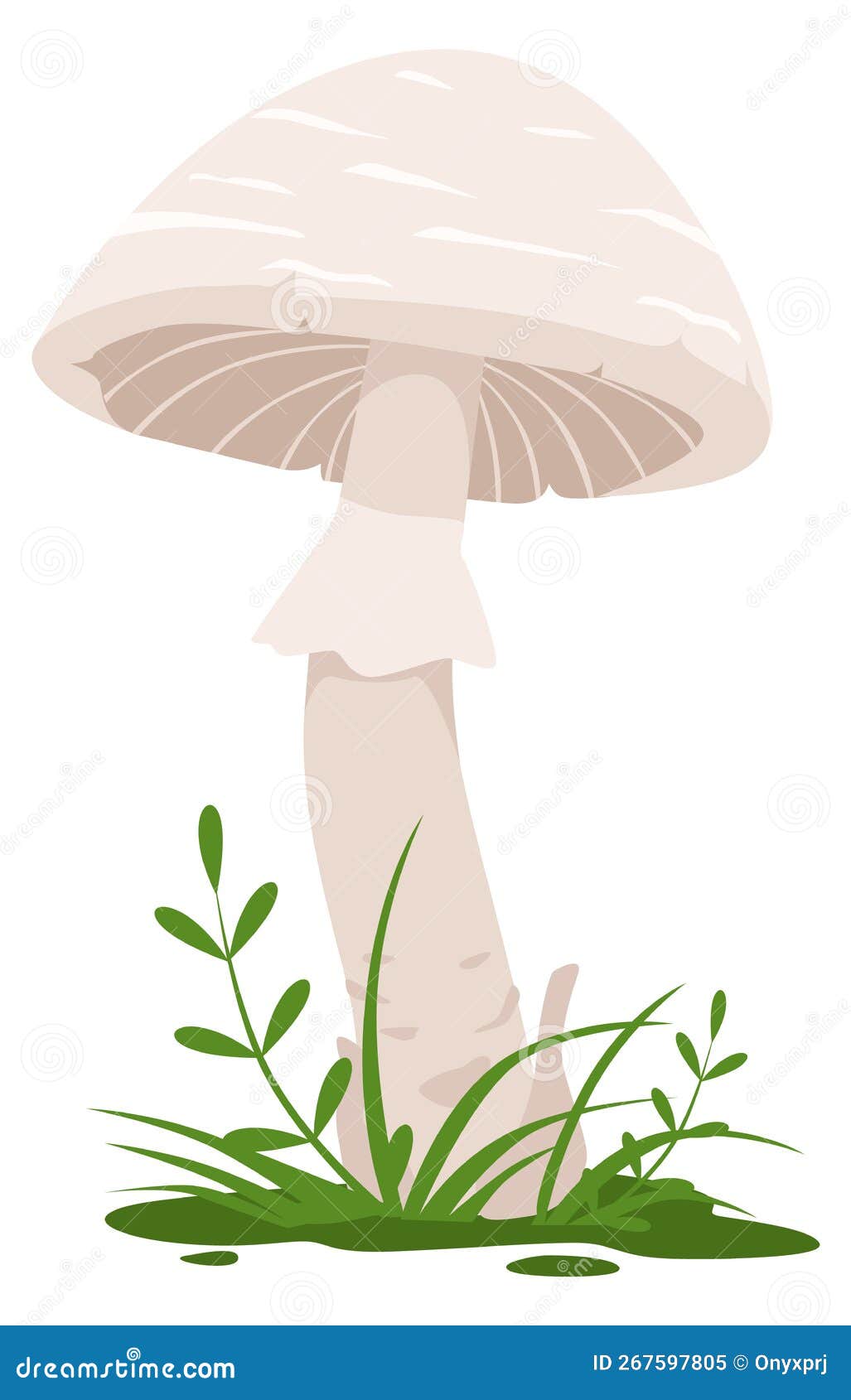 Toadstool Cartoon Icon. Growing Wild Mushroom In Grass | CartoonDealer ...