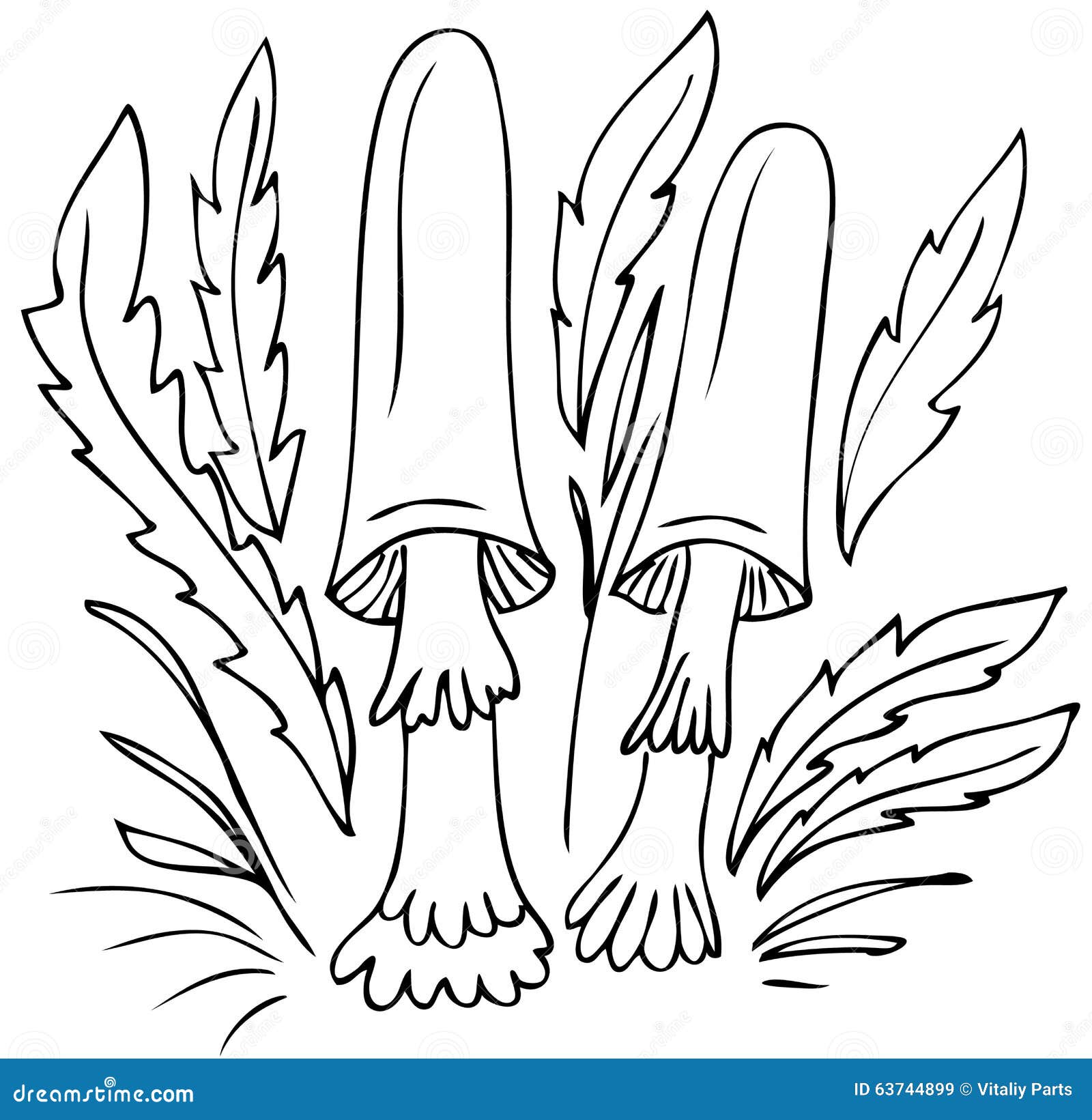 Toadstool for Coloring Books Stock Vector - Illustration of toadstools ...