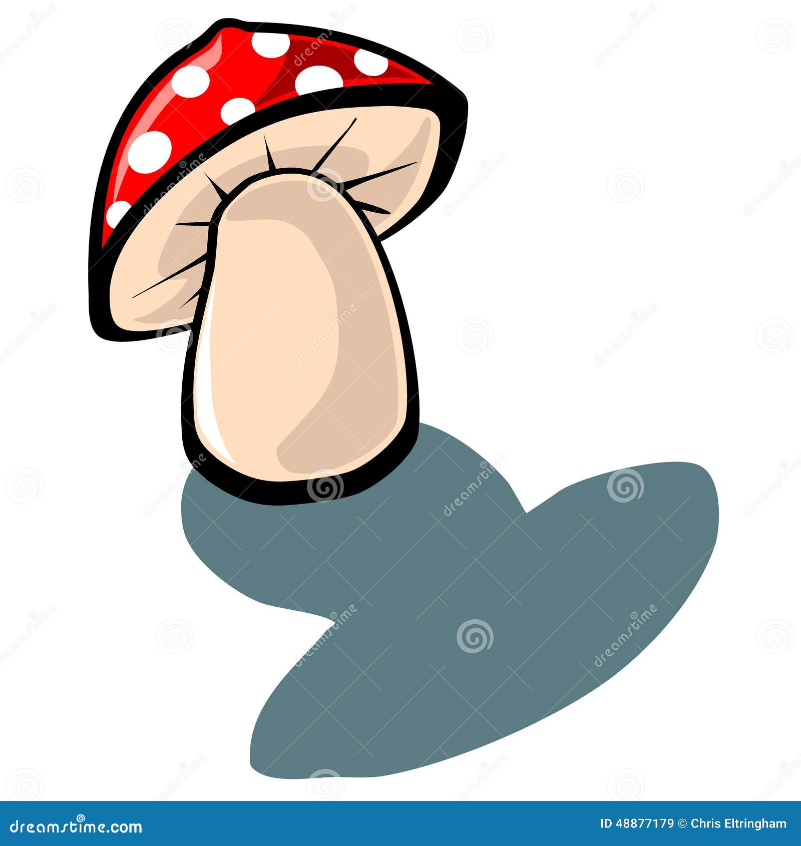 Toadstool stock vector. Illustration of food, nature - 48877179