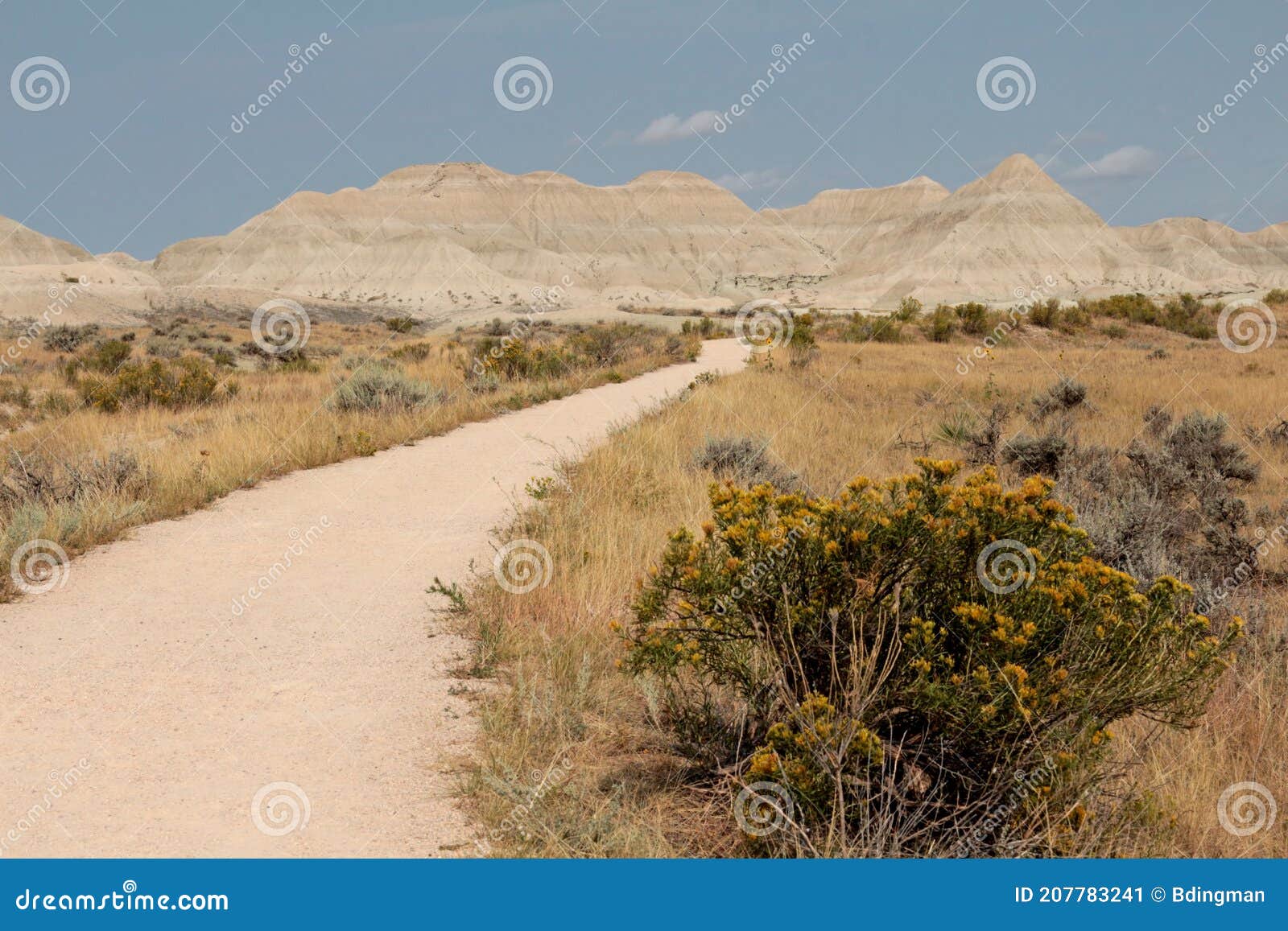 Toadstool Geologic Park stock image. Image of geology - 207783241