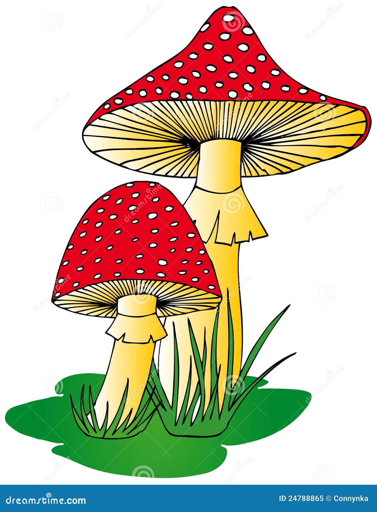 Toadstool in grass stock vector. Illustration of cartoon - 24788865