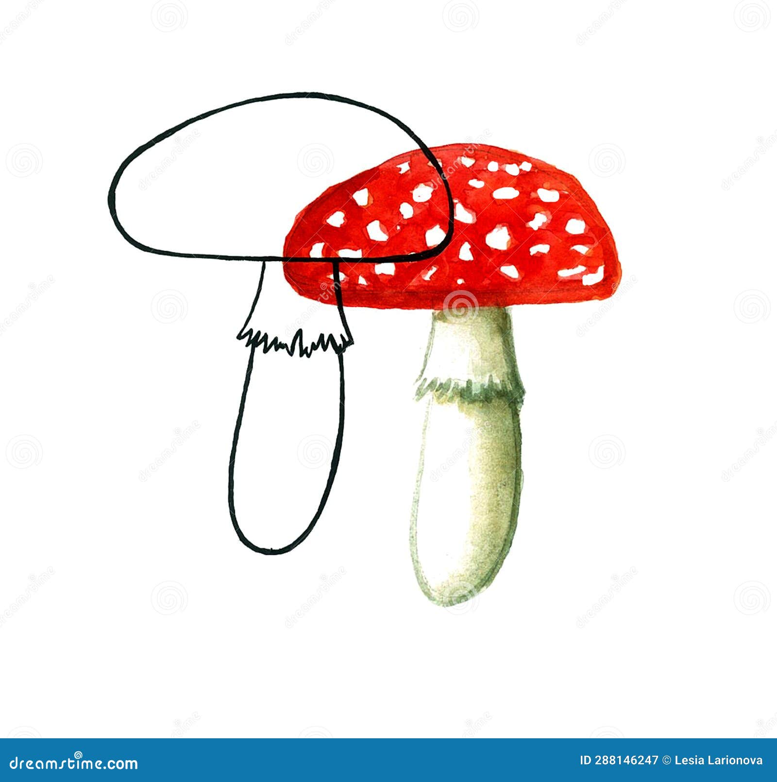 Toadstool Isolated On White Background. Watercolor Drawing And Black ...