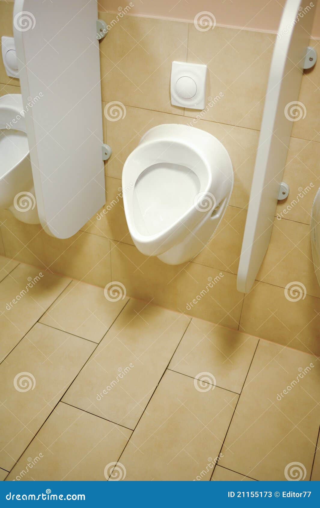 Toalete imagem de stock. Imagem de luxo, toalete, limpo - 21155173