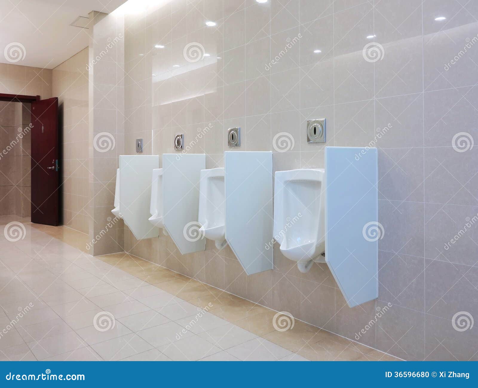 Toalete foto de stock. Imagem de limpo, contemporâneo - 36596680