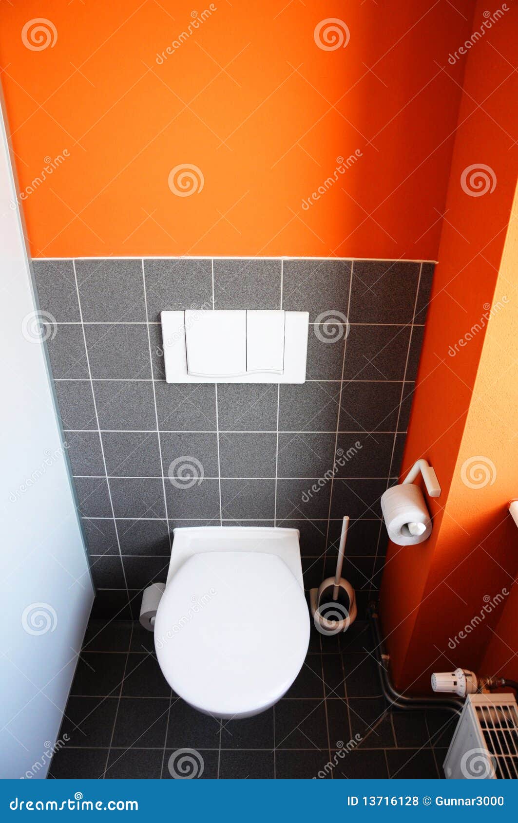 Toalett arkivfoto. Bild av vitt, sanitärt, garderob, kopia - 13716128