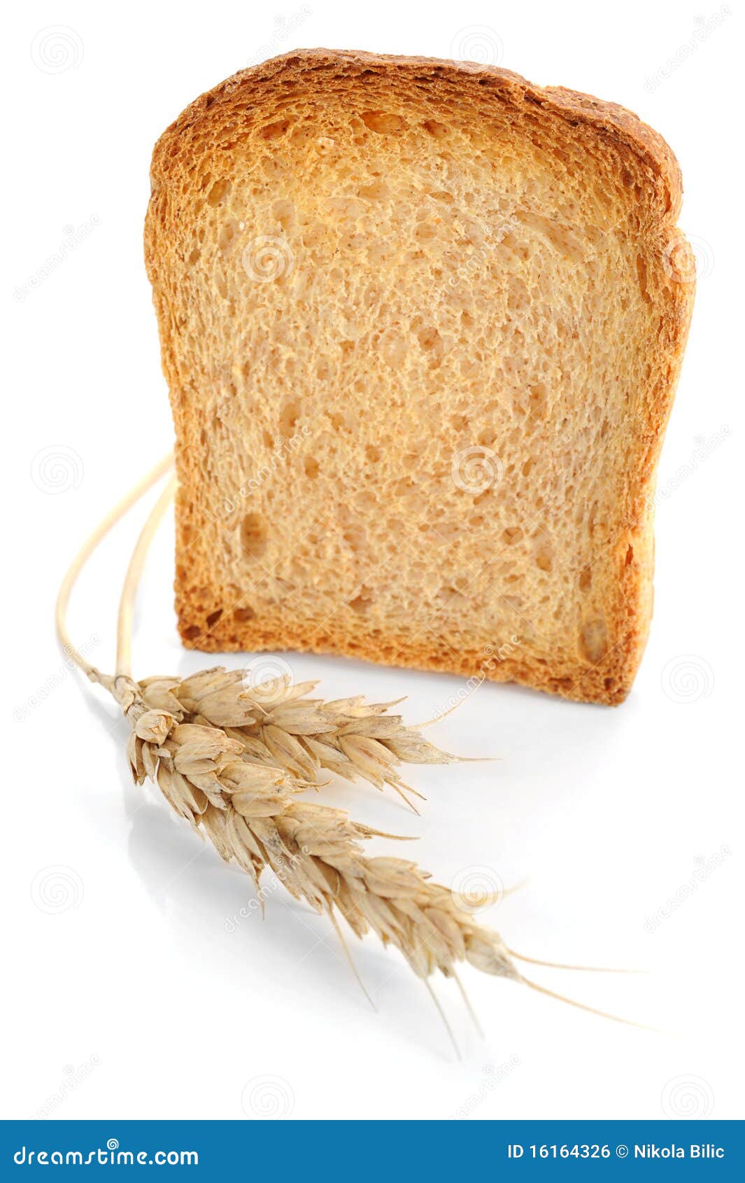 Toast stock photo. Image of health, food, slice, baked - 16164326