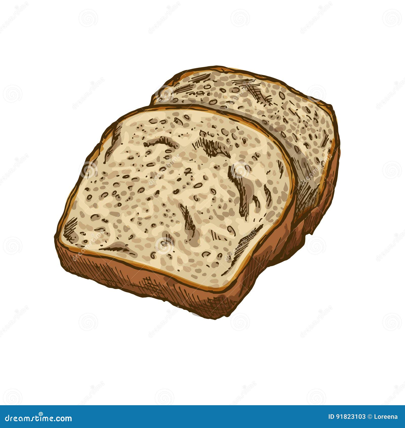 Toast bread, full color stock vector. Illustration of bake - 91823103