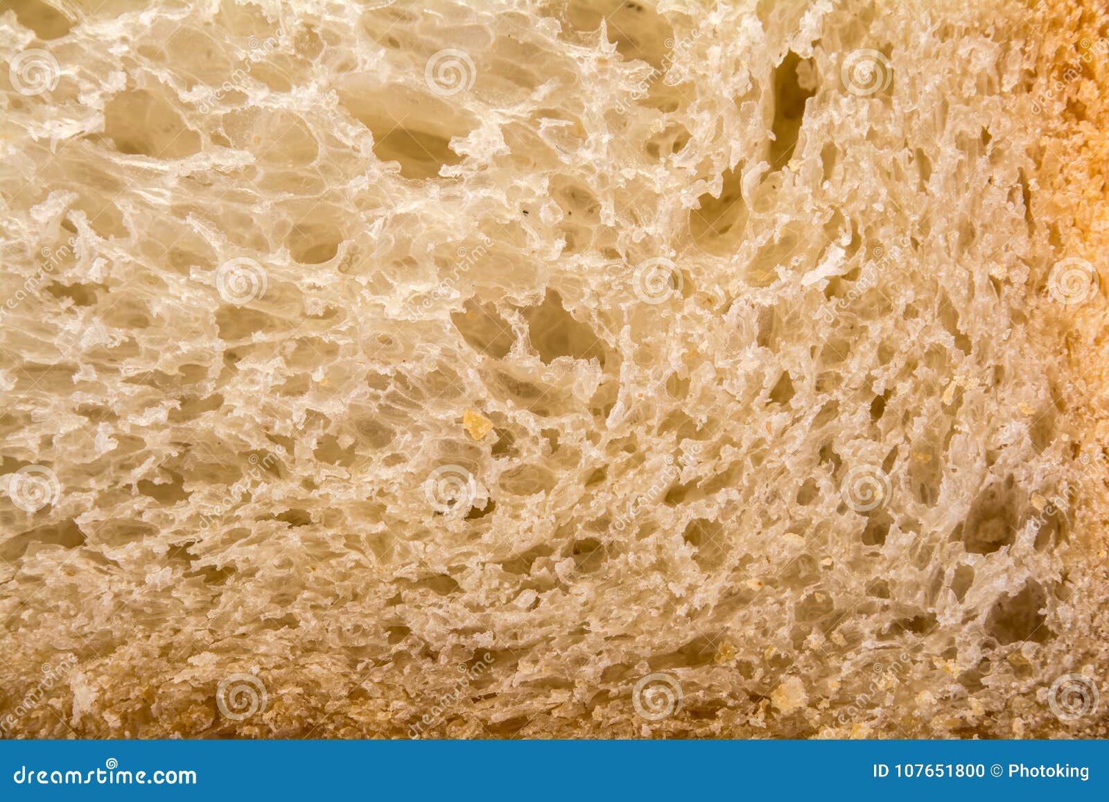 Toast bread surface stock photo. Image of burnt, tasty - 107651800