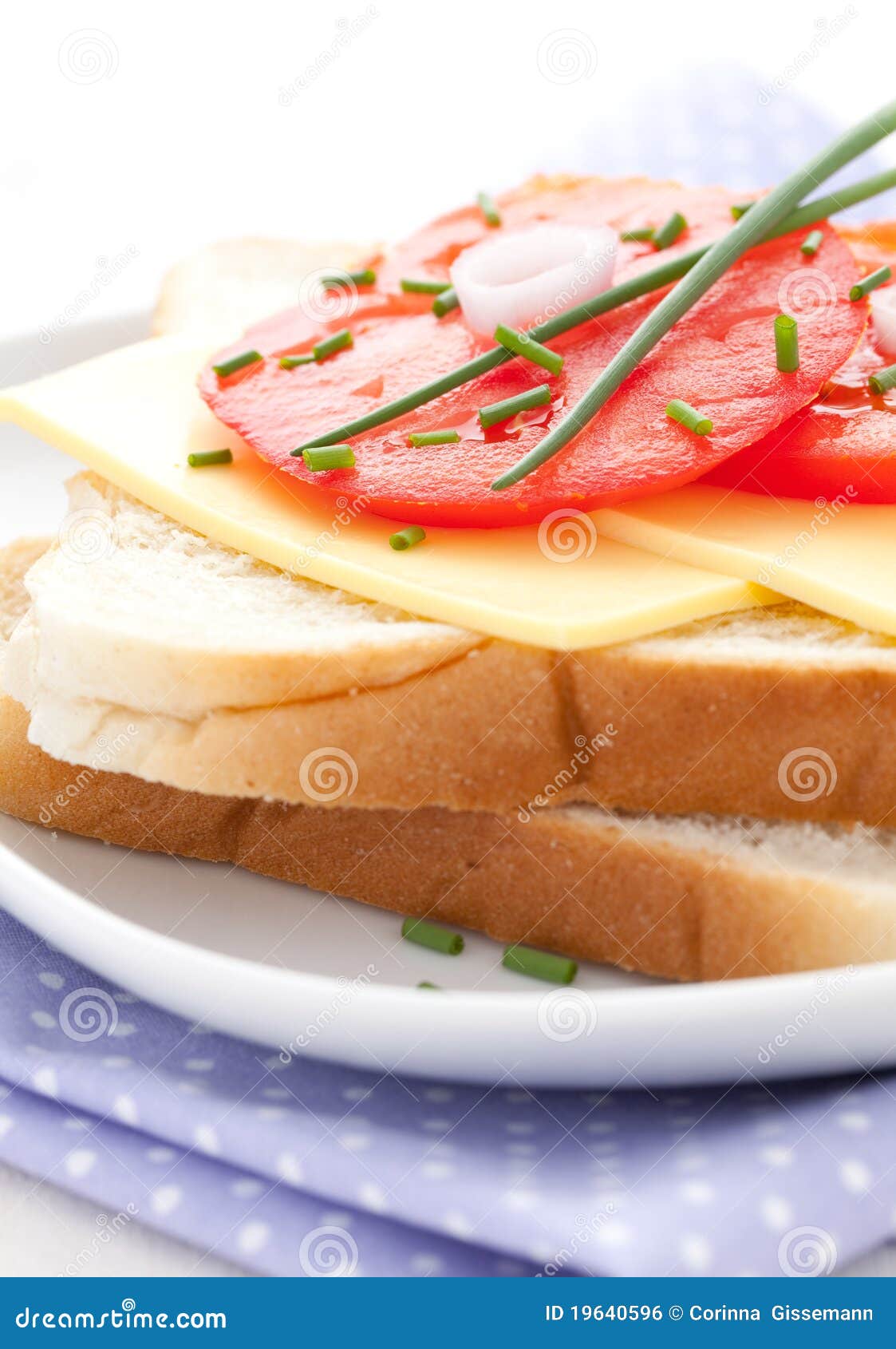 Toast with cheese stock photo. Image of meal, tomato - 19640596