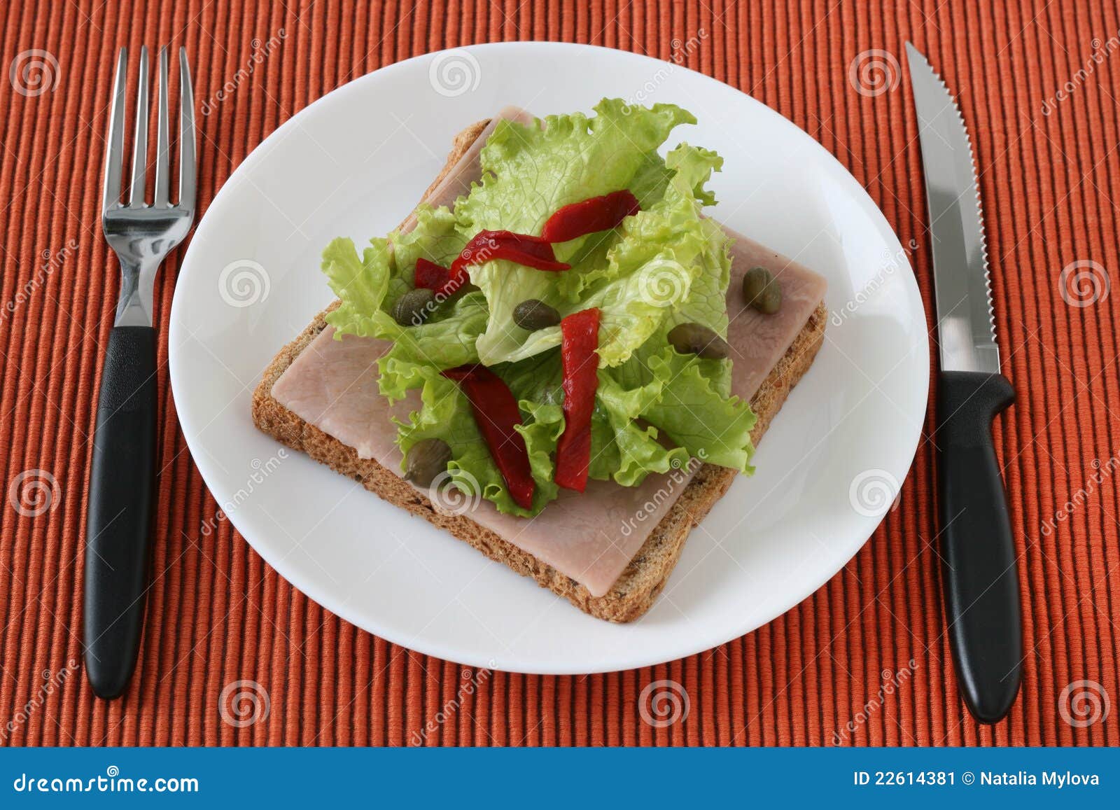 Toast with ham and lettuce stock image. Image of toast - 22614381