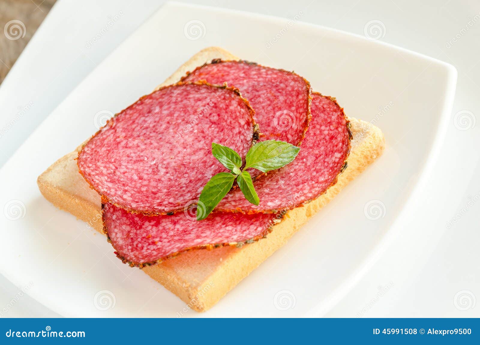 Toast with italian salami stock photo. Image of slice - 45991508