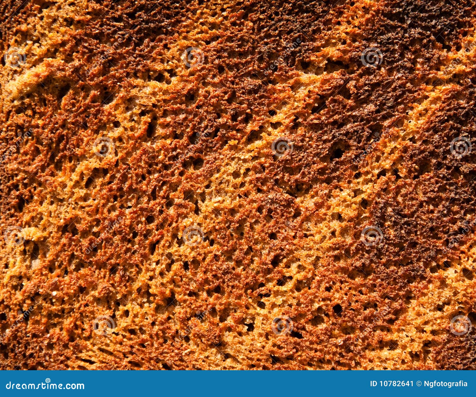 Toast texture stock image. Image of detail, insulated - 10782641