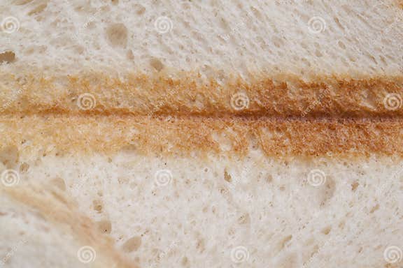 Toast texture stock photo. Image of bread, piece, sandwich - 23906810
