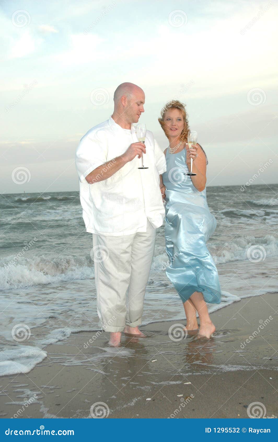 A Toast To Us stock photo. Image of marriage, love, breeze - 1295532