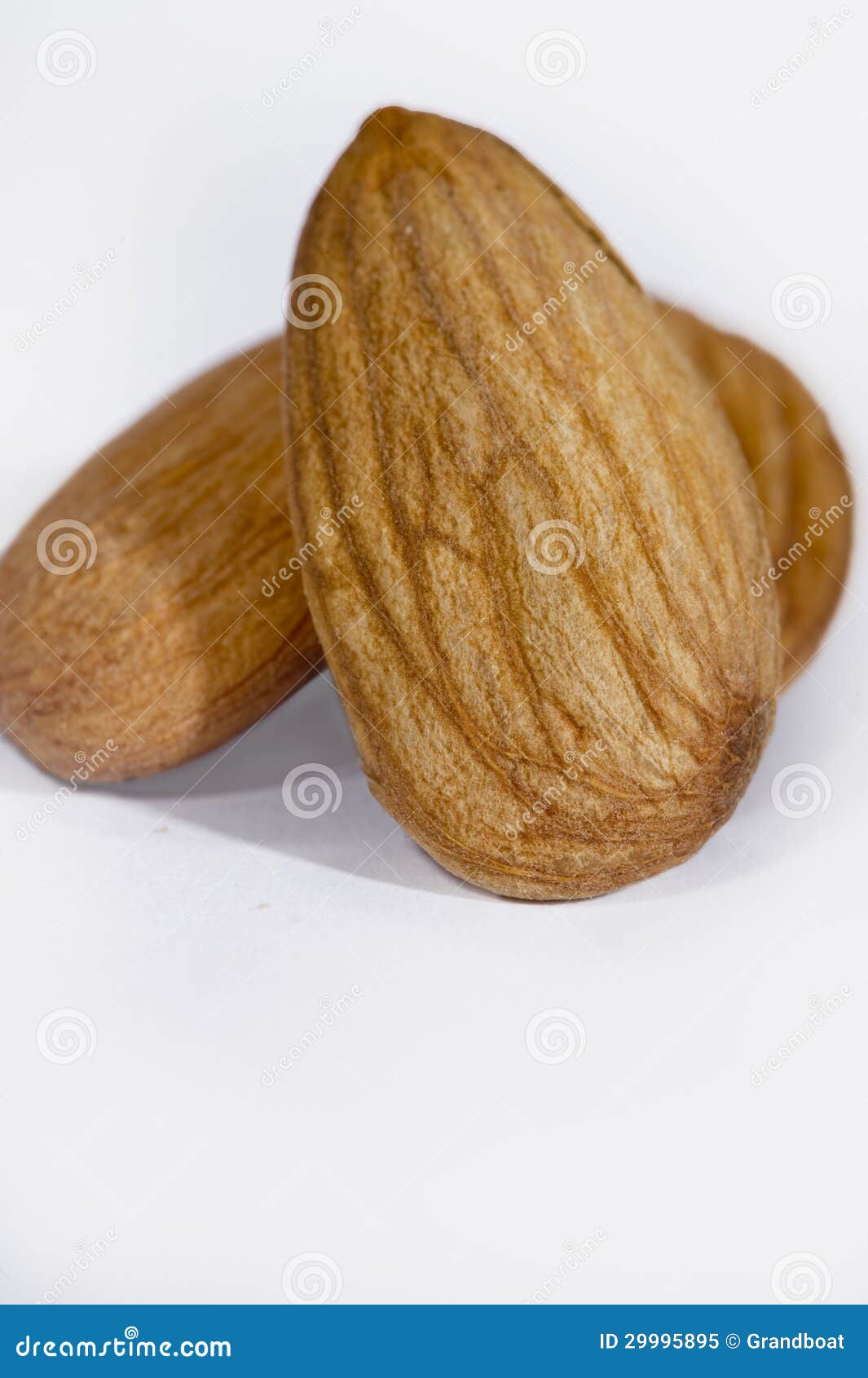 Almond close-up stock image. Image of white, color, interior - 29995895