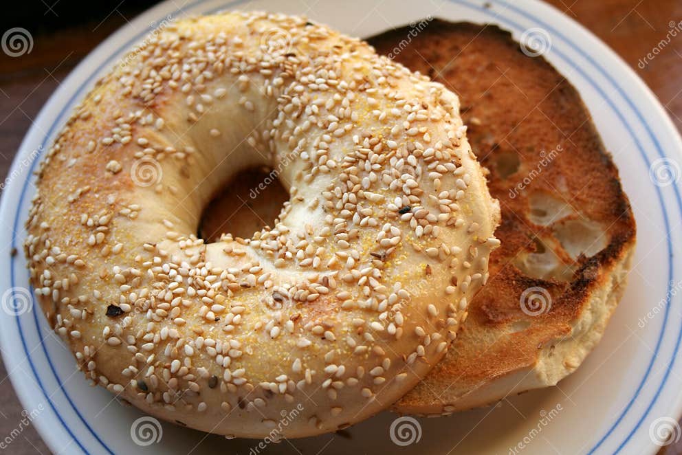 Toasted Bagel stock photo. Image of bread, seeded, close - 1639356