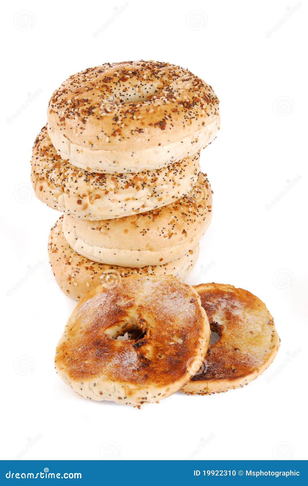 Toasted bagel stock photo. Image of grain, sliced, poppy - 19922310