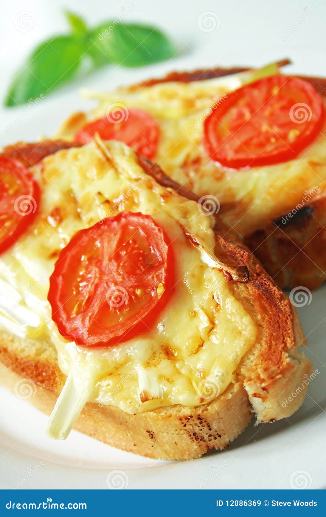 Toasted Cheese stock image. Image of breakfast, crust - 12086369