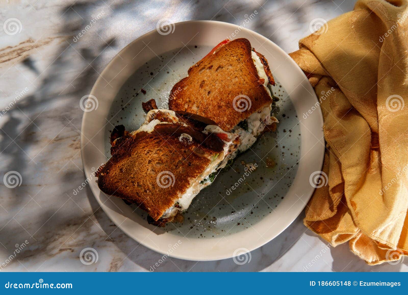 Toasted Chicken Mozzarella Sandwich Stock Photo - Image of snack ...