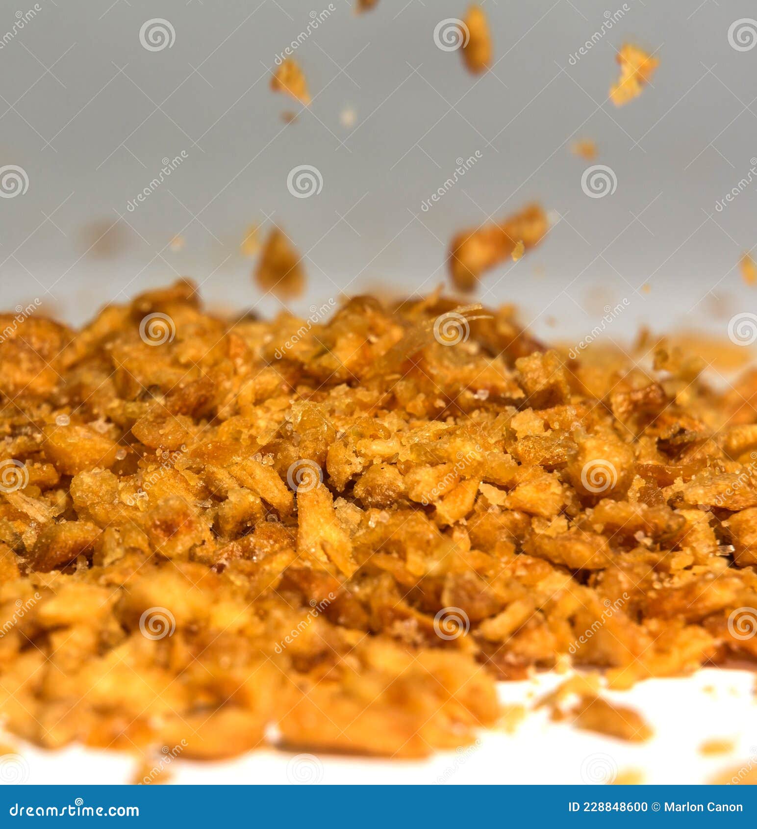 Toasted Garlic bits stock photo. Image of plant, seasoning - 228848600