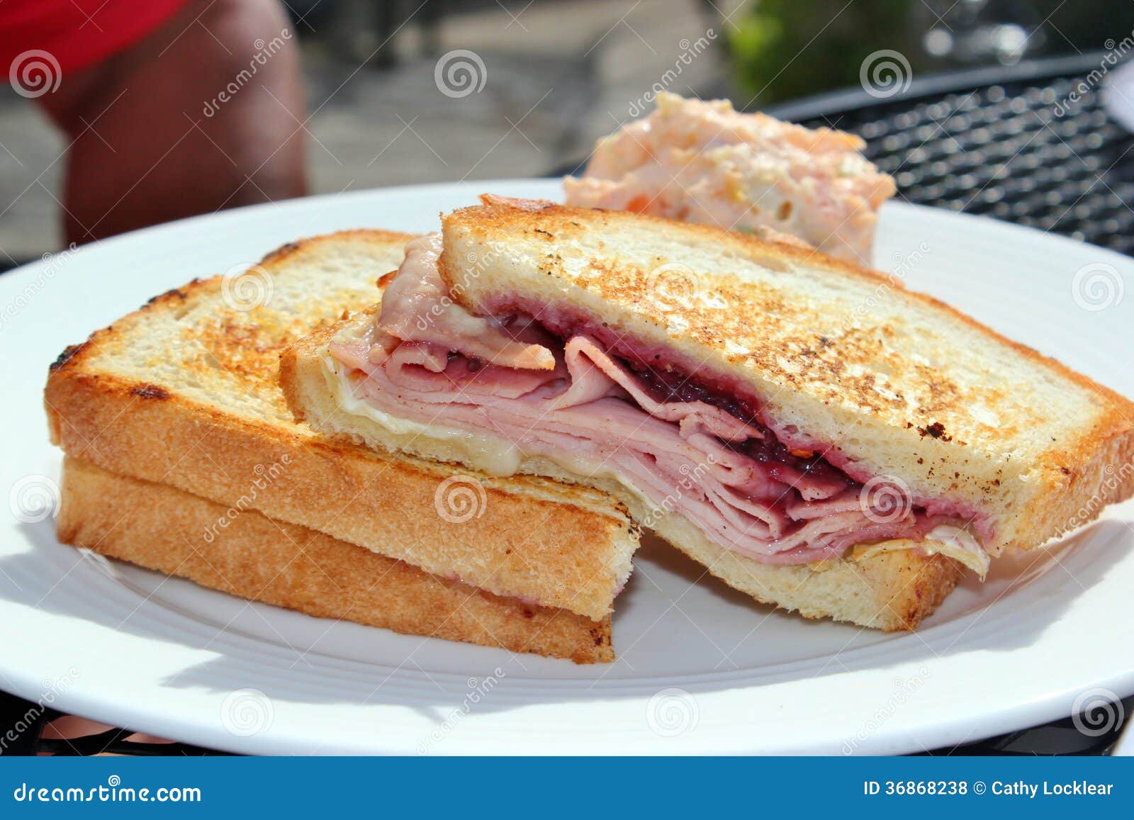 Toasted ham sandwich stock photo. Image of toasted, bread - 36868238