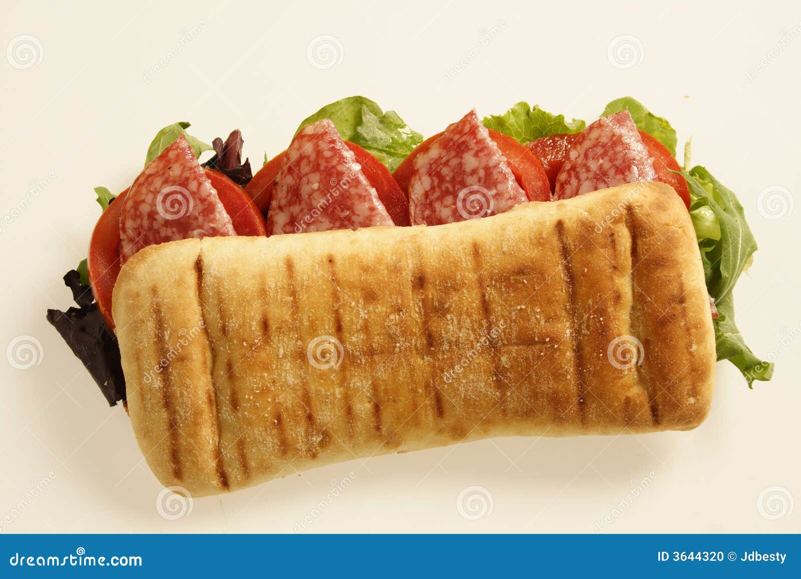 Toasted Panini stock photo. Image of bread, salad, dining - 3644320